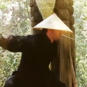 Activate Limitless Qi to Boost Longevity, Increase Agility & Instill ...